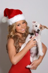 The Mariah Network